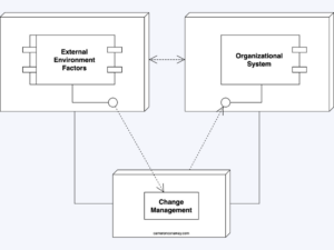 What is Change Management? | Definition, Principles, Process